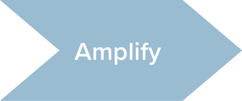 Executive Team Alignment | Principled Transformation